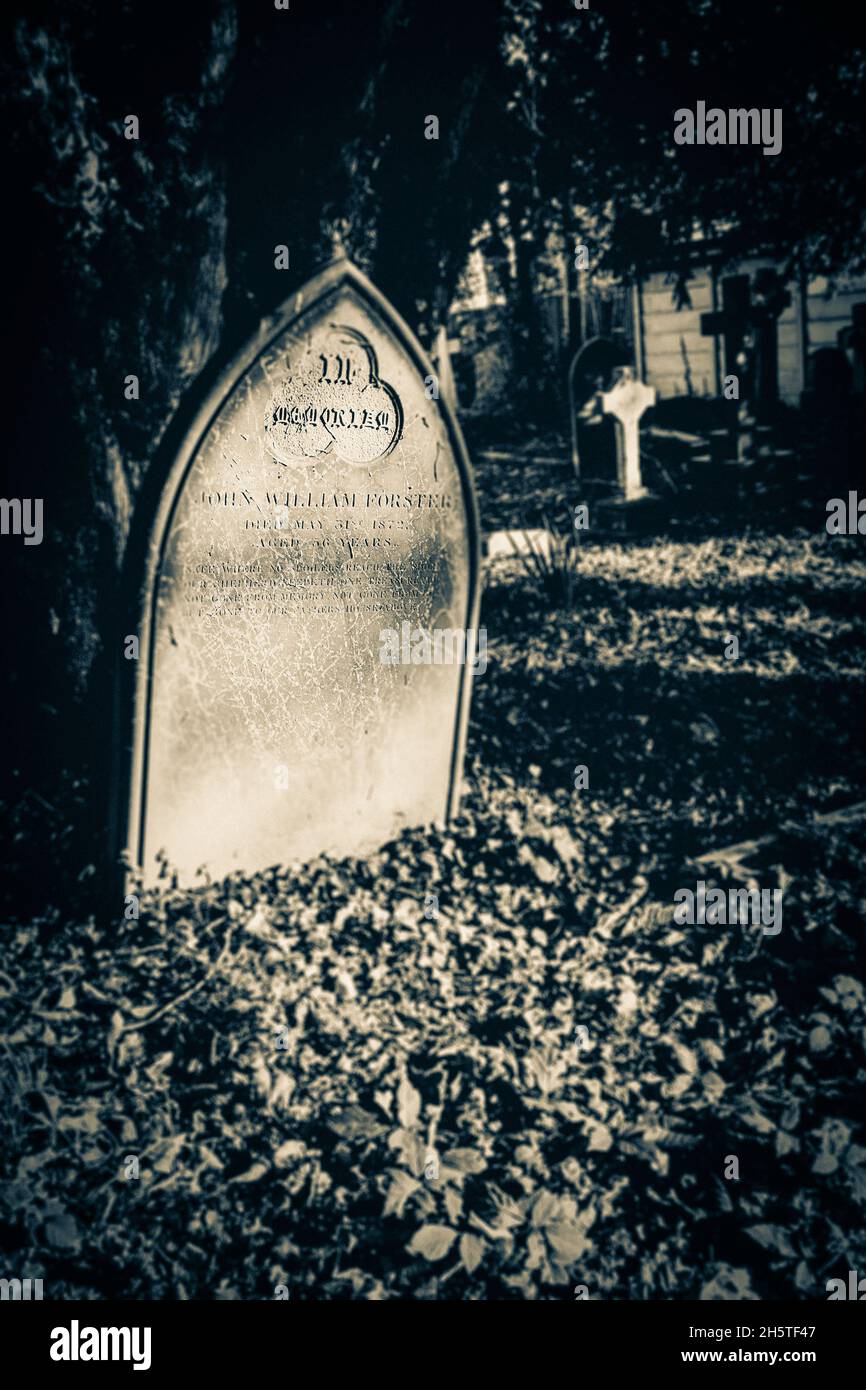 Solitary gravestone hidden in the shadows under a tree Stock Photo - Alamy