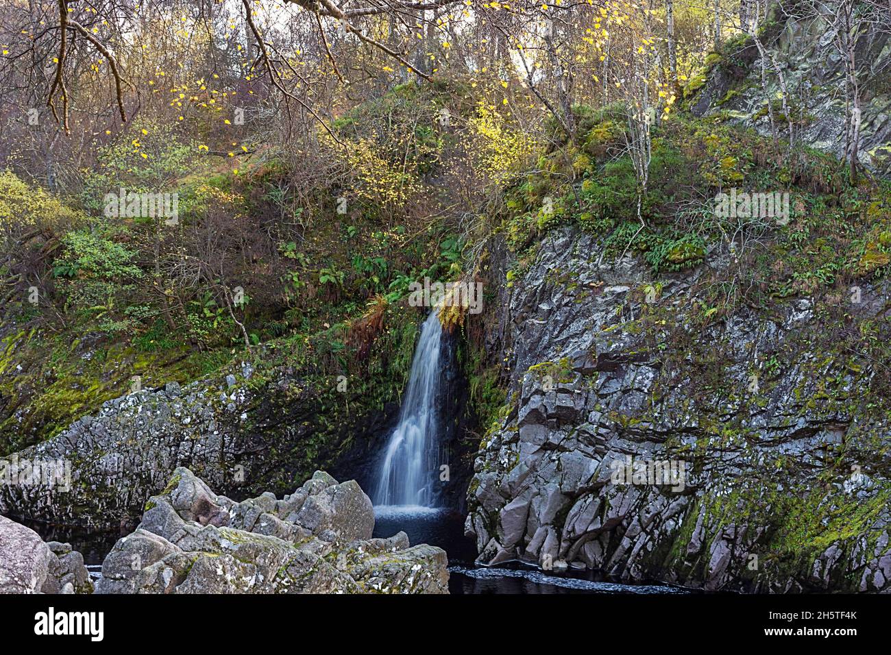DULSIE BRIDGE NAIRN MORAY SCOTLAND WATERFALL FERNS MOSSES AND GORGE IN ...