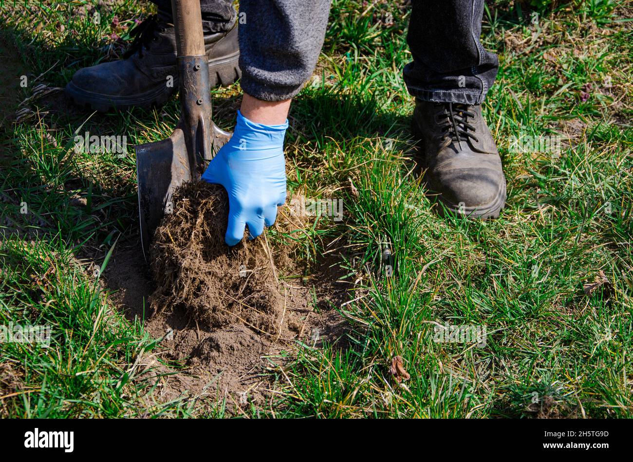 Digging spring soil with shovel. Close-up, shallow DOF Stock Photo - Alamy