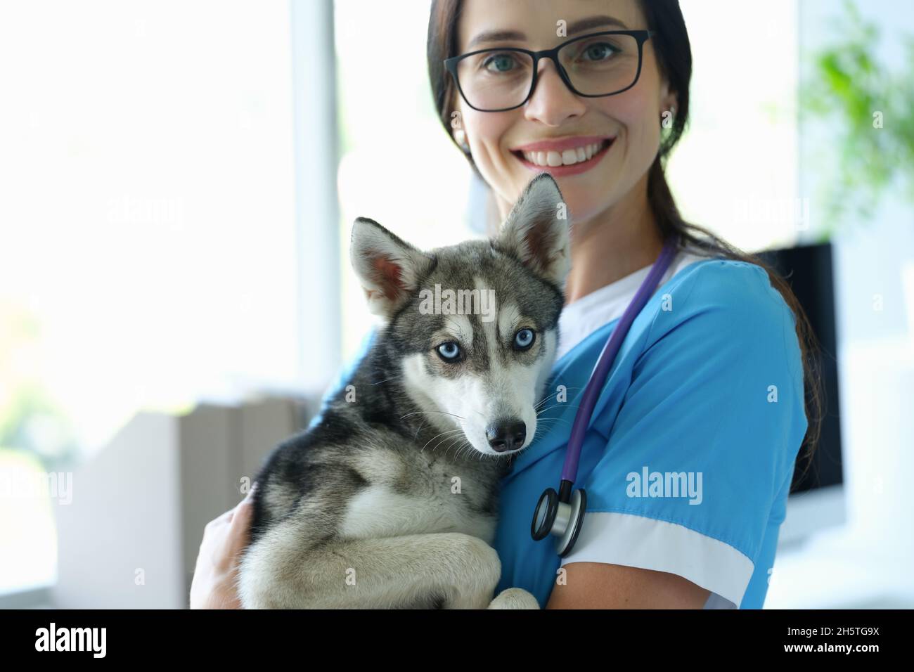 Young smiling veterinarian holds dog in arms closeup Stock Photo - Alamy