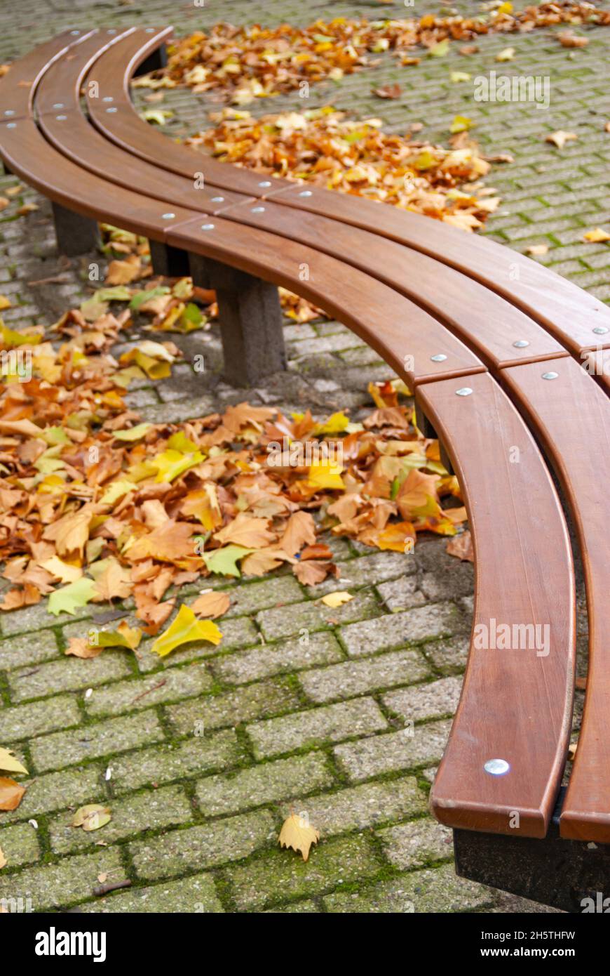 Vertical shot of a modern curve bench with autumn leaves in the ...