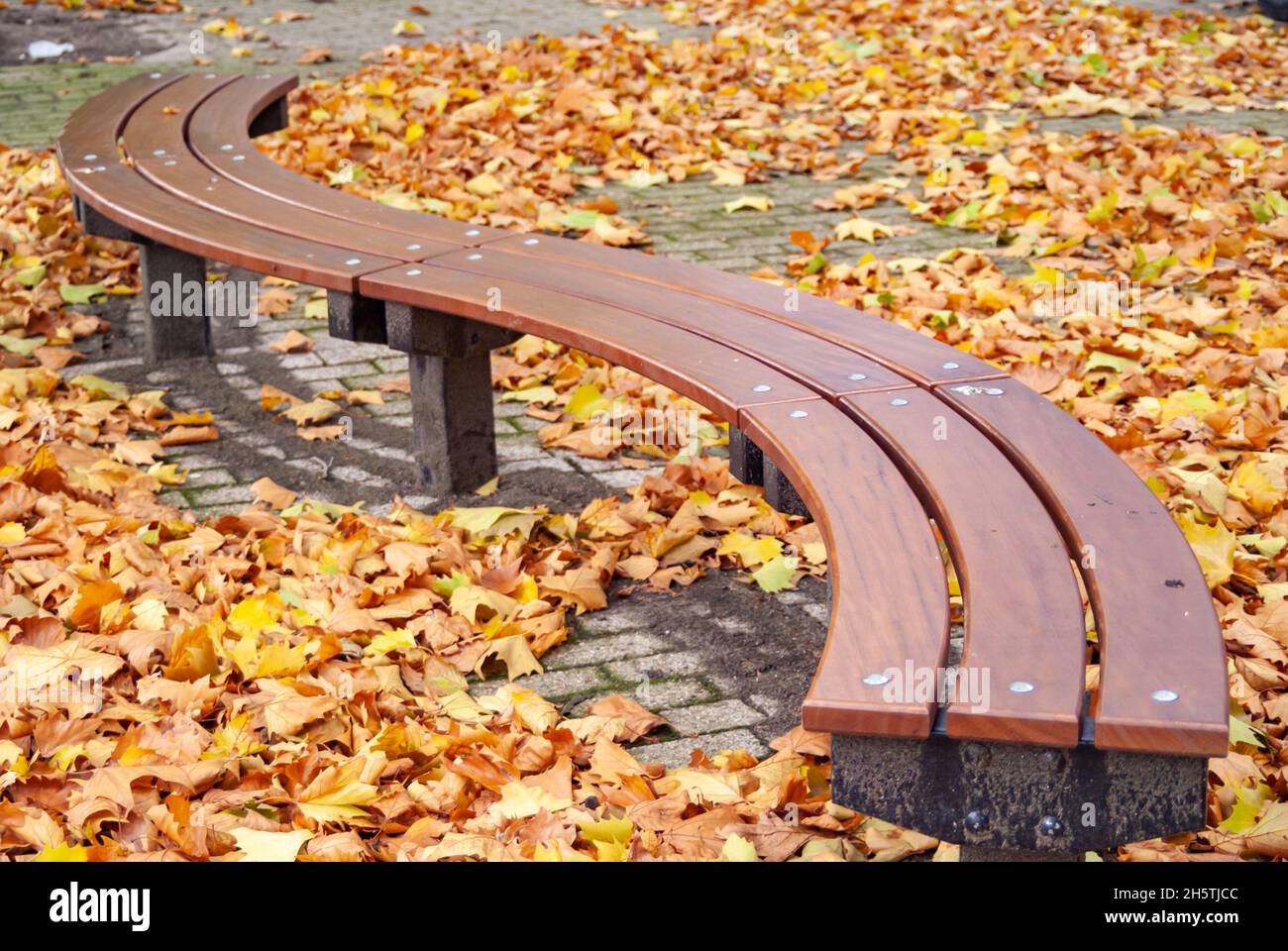 Modern curve bench with autumn leaves on the pavement Stock Photo - Alamy
