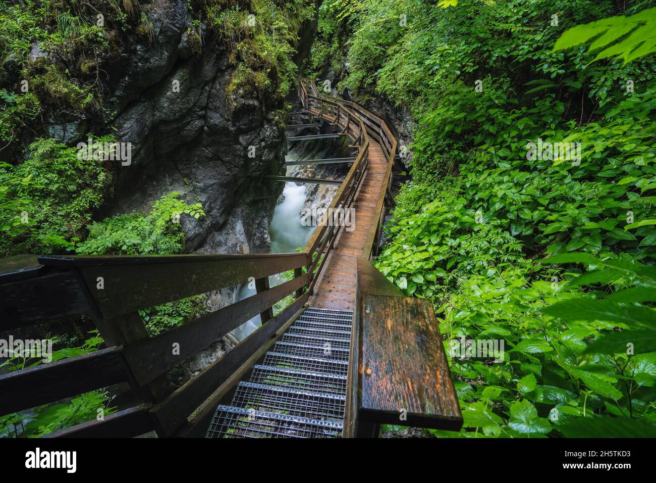 Wooden hike trail path inside gorge with bue mountain river hi-res ...
