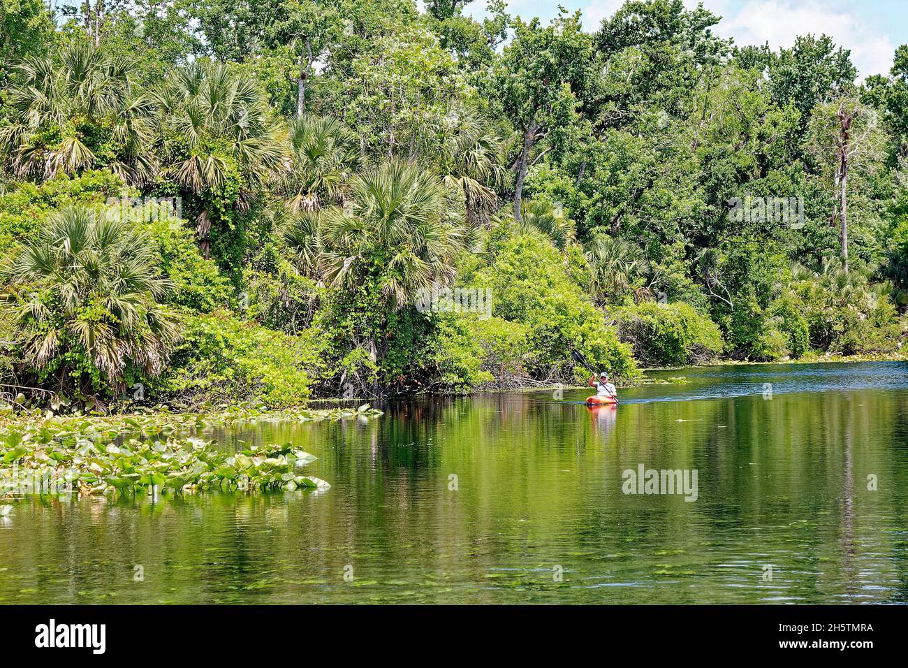 Man kayaking springs hi-res stock photography and images - Alamy