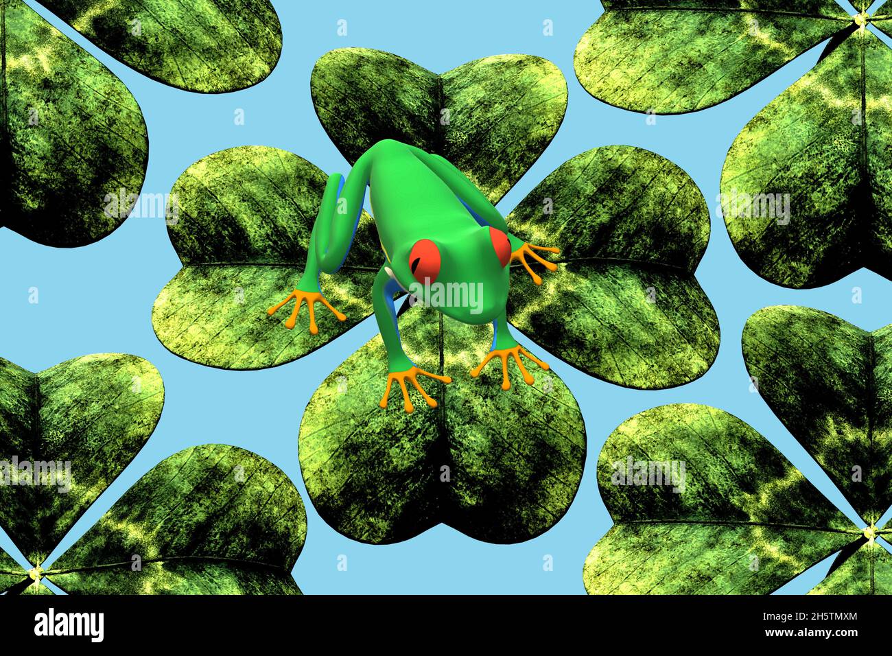 Frog from above Stock Photo - Alamy