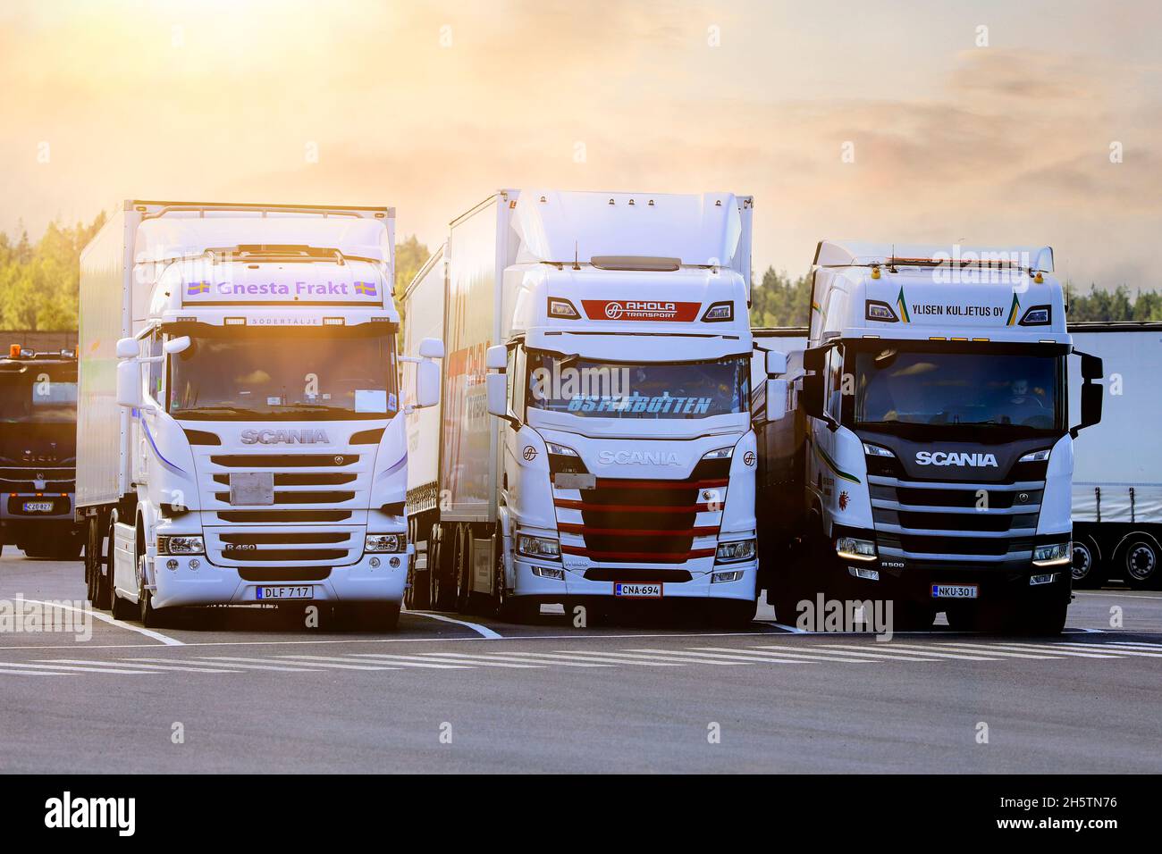 Three white Scania freight transport trucks at a truck stop in morning ...