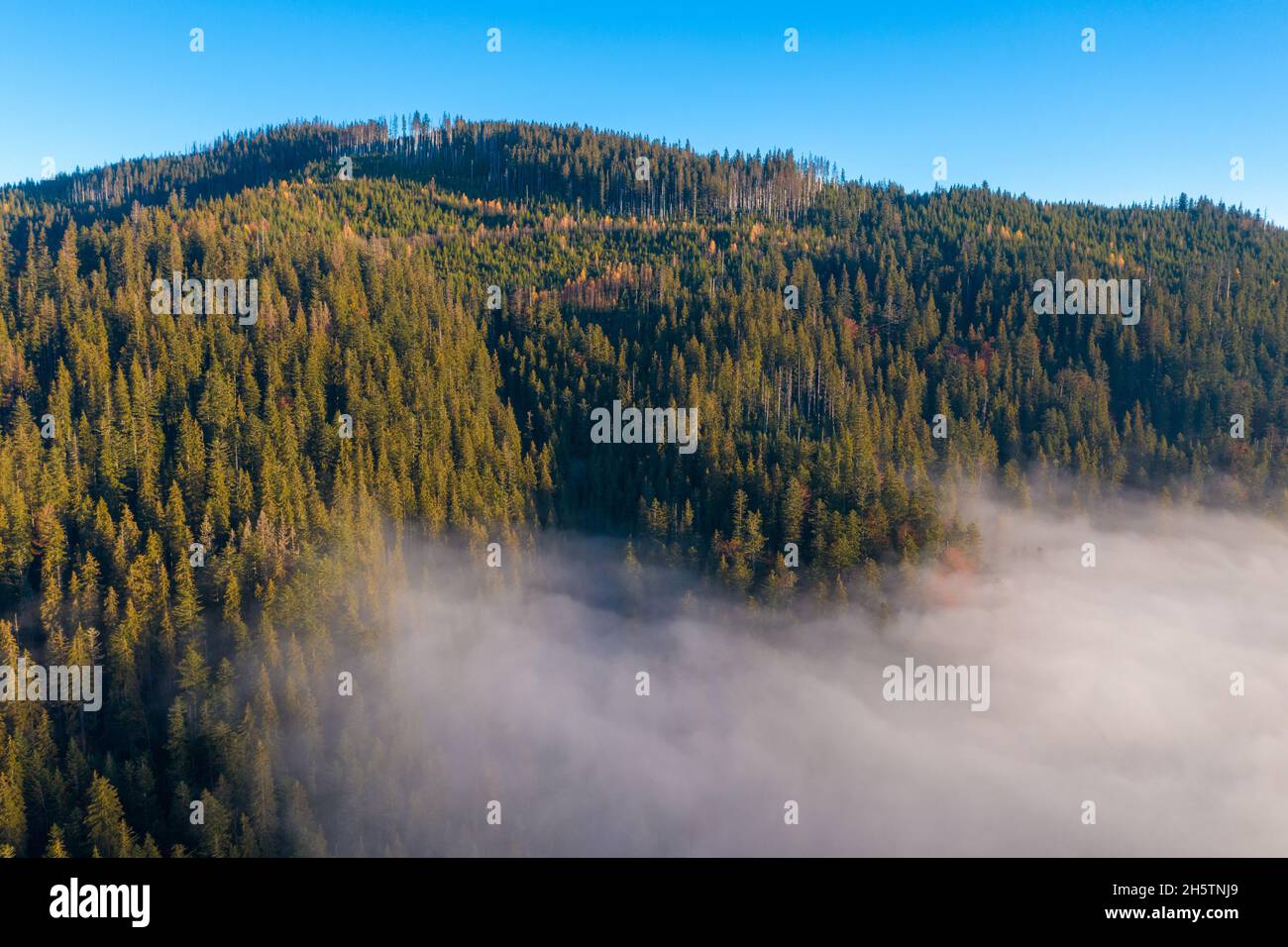 Aerial sun mountain forest ridge hi-res stock photography and images ...