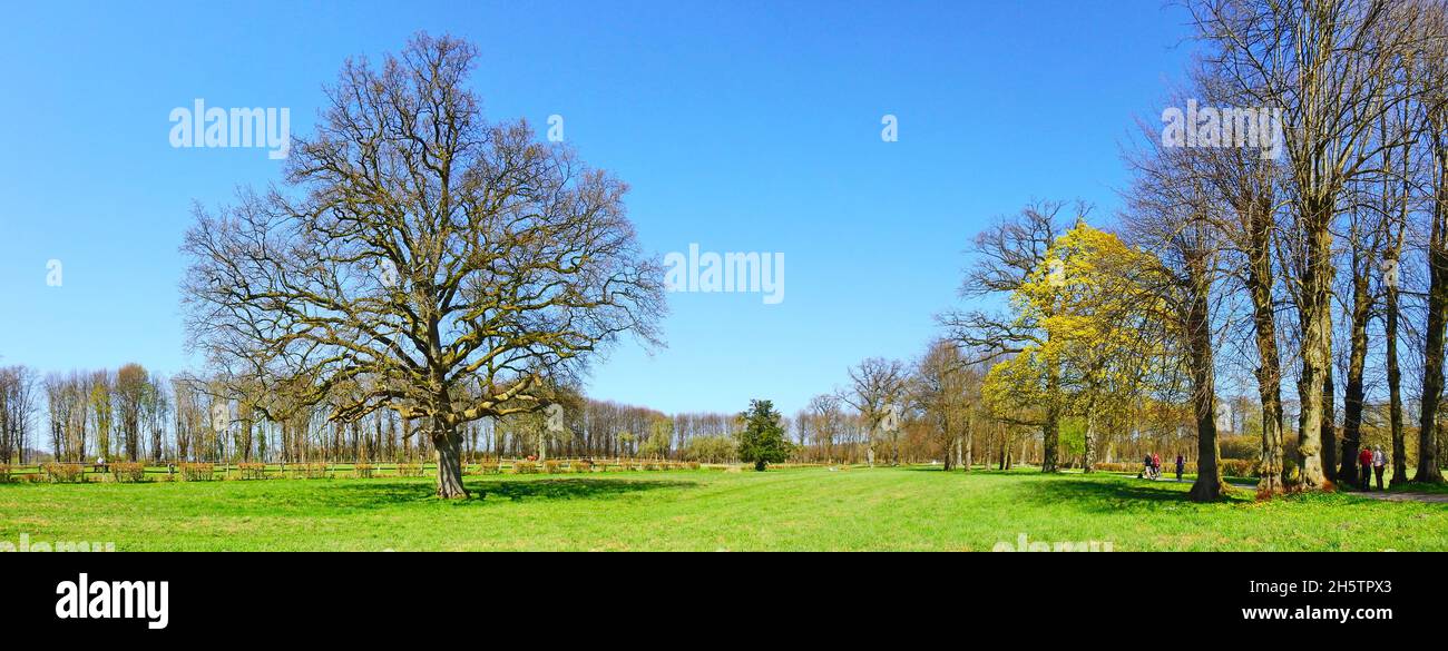 Park Panorama - Spring Stock Photo - Alamy