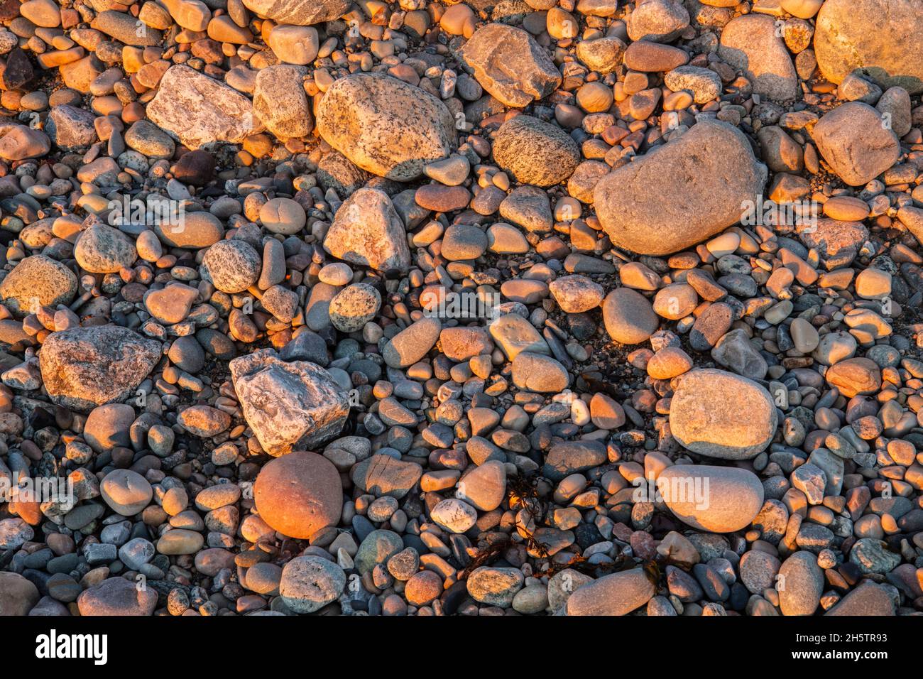 Green Point Rocks and coast at sunset, Gros Morne National Park ...