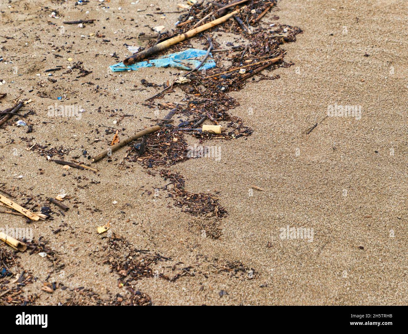 Seashore litter on Mediterranean seashore Stock Photo - Alamy