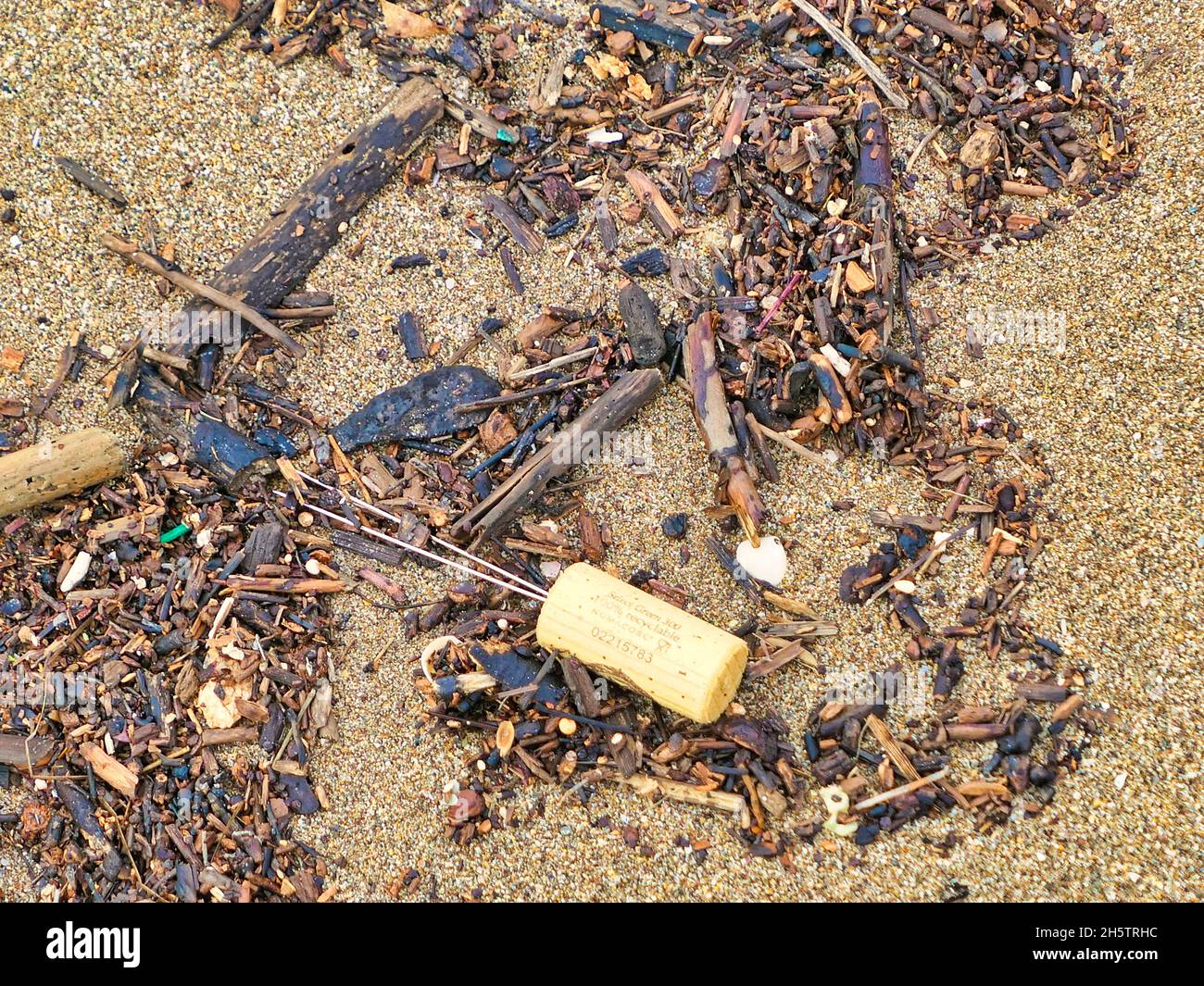 Seashore litter on Mediterranean seashore Stock Photo - Alamy