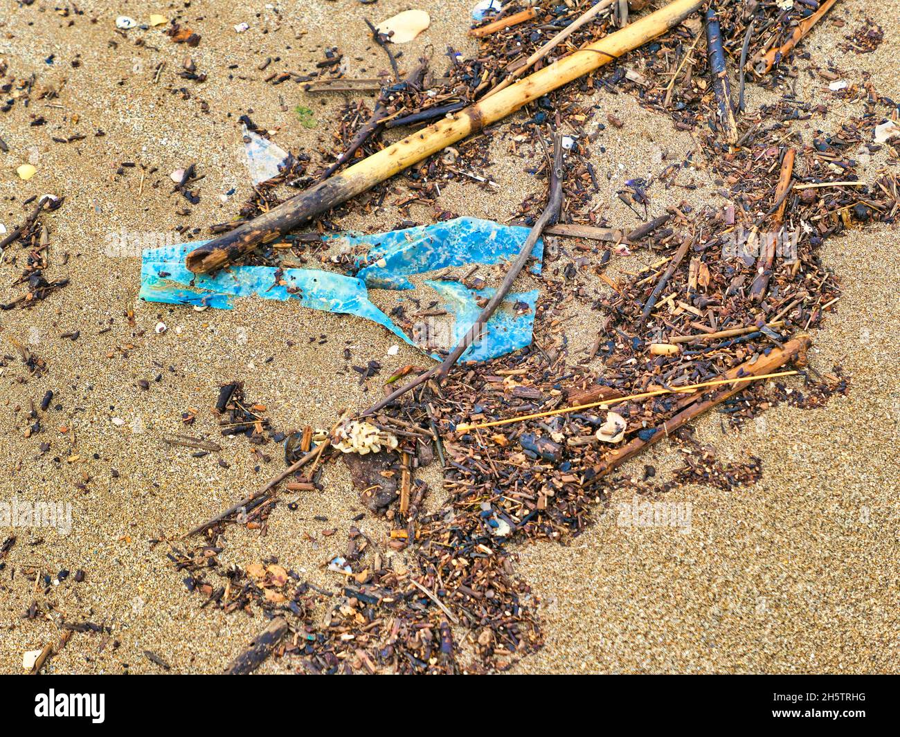 Seashore litter on Mediterranean seashore Stock Photo - Alamy