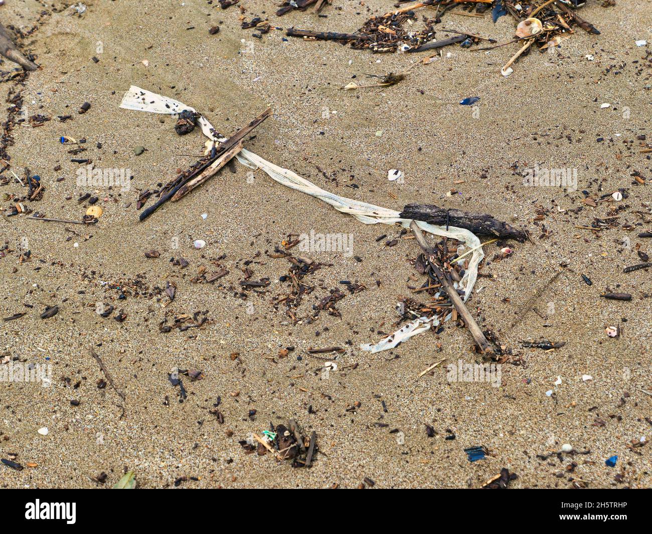 Seashore litter on Mediterranean seashore Stock Photo - Alamy