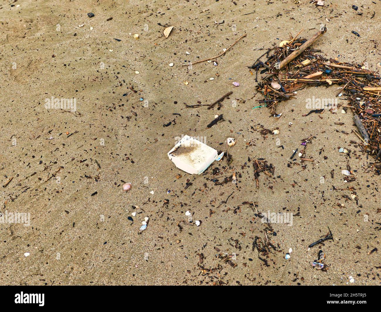 Seashore litter on Mediterranean seashore Stock Photo - Alamy