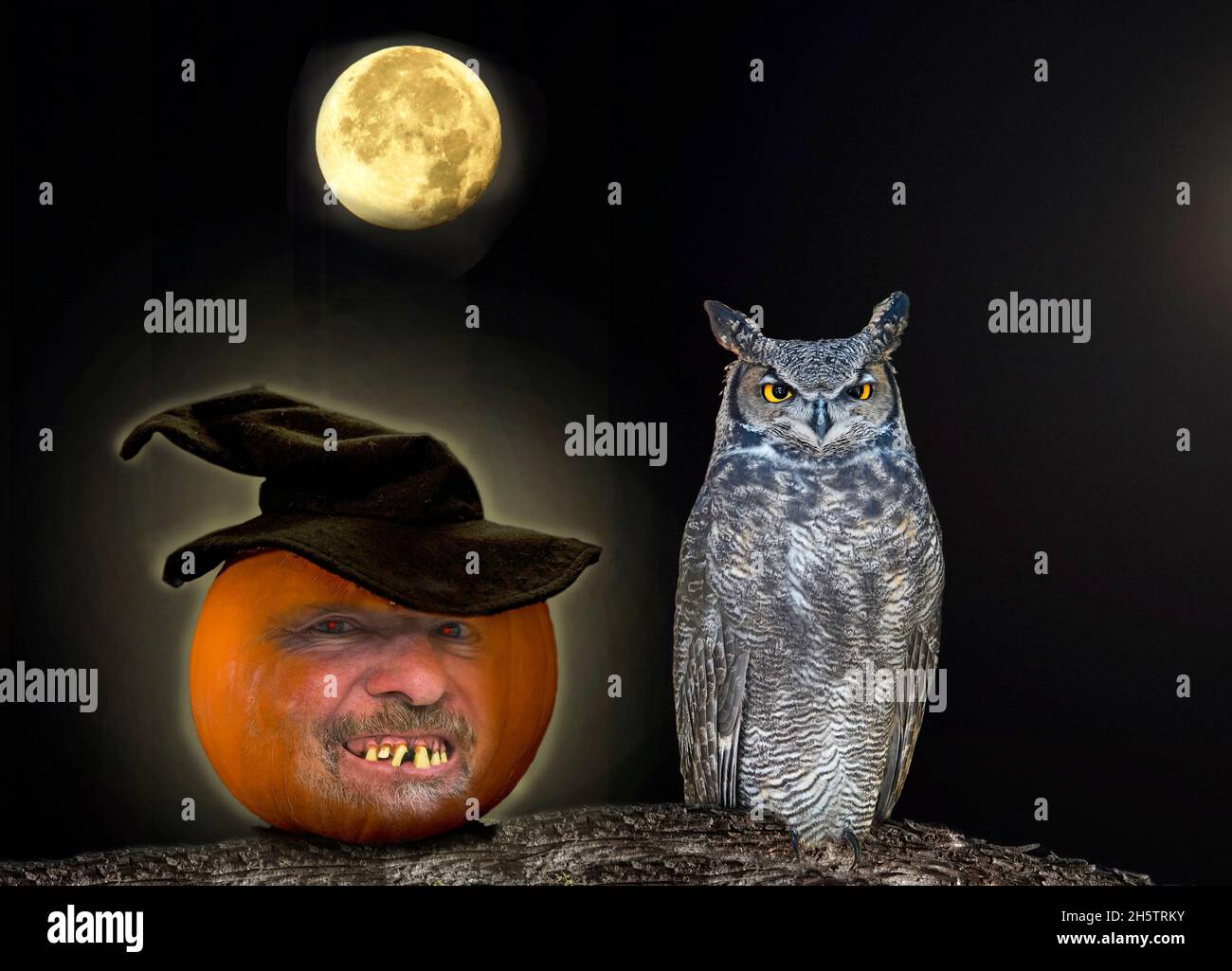 Scary owl hi-res stock photography and images - Alamy