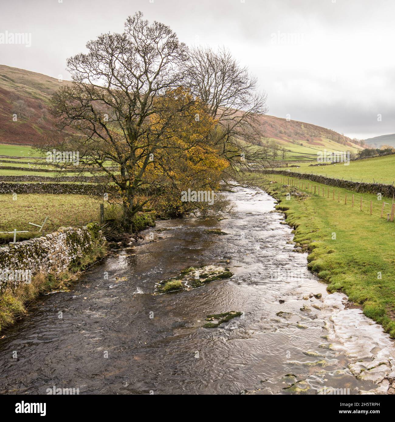 The River Skirfare as seen from the road bridge at Halton Gill In ...