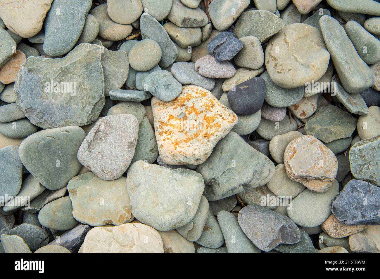 Brimstone head cove hi-res stock photography and images - Alamy