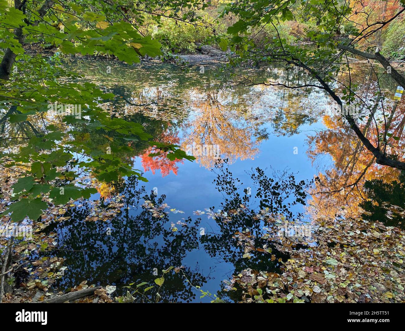 Fall foliage at the Bronx Zoo Stock Photo - Alamy