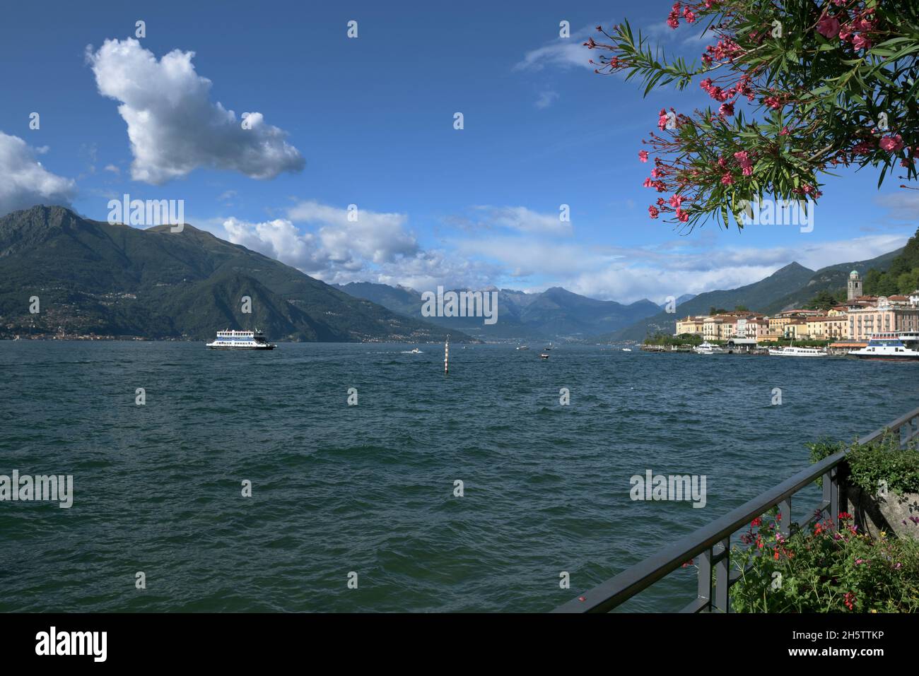 Tree with pink flowers and ferry at the shore of Lake Como, Bellagio ...