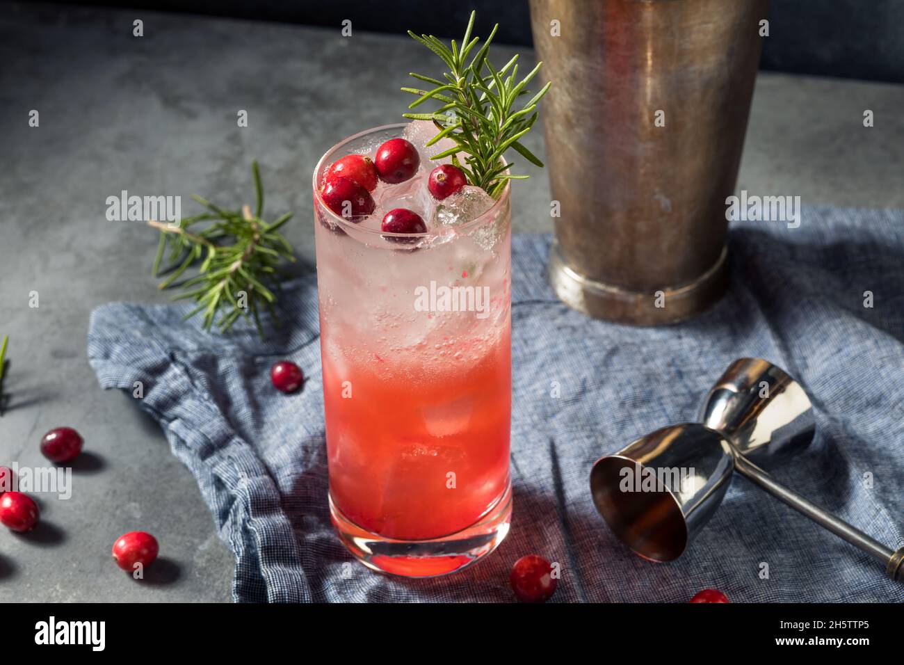 Boozy Holiday Cranberry Gin Fizz Cocktail for Christmas Stock Photo - Alamy