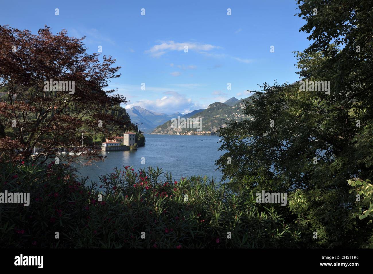 View of Lake Como framed by tree leaves and pink flowers, Bellagio ...