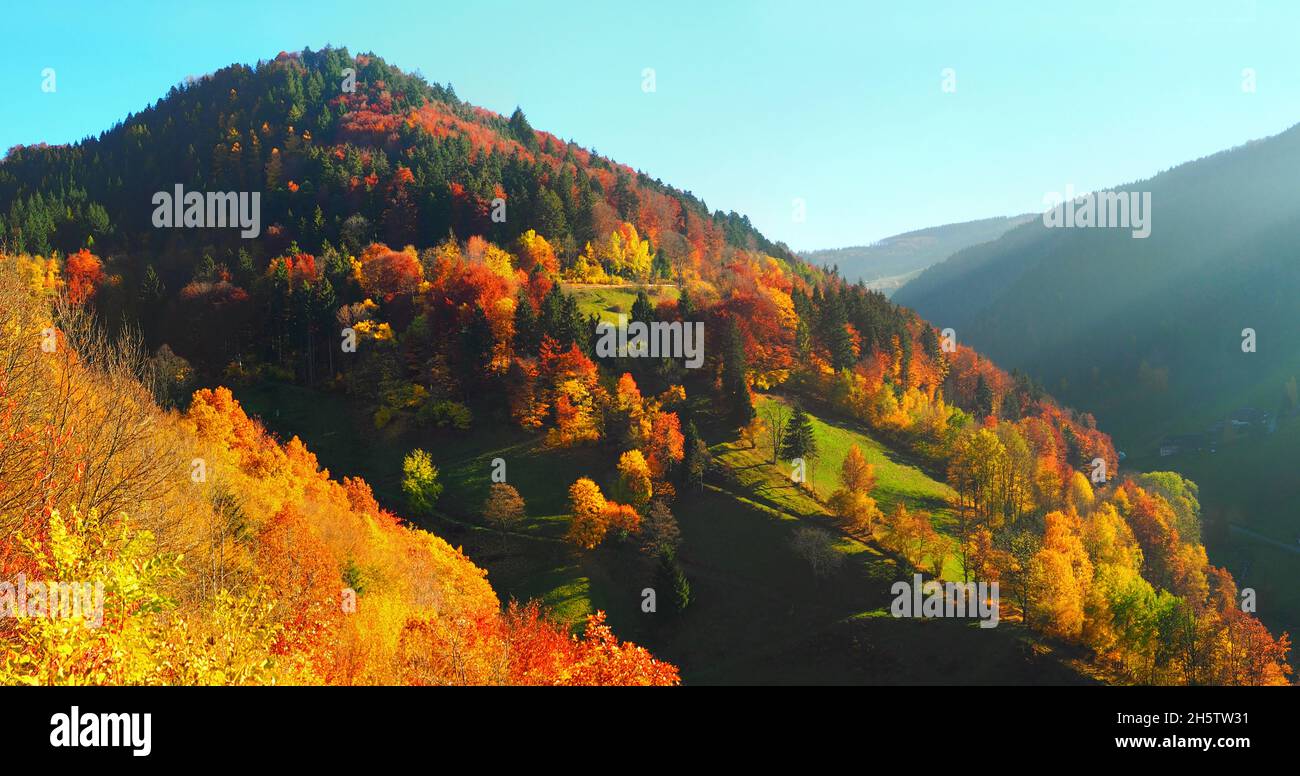 Black Forest in Autumn - Panorama Stock Photo - Alamy