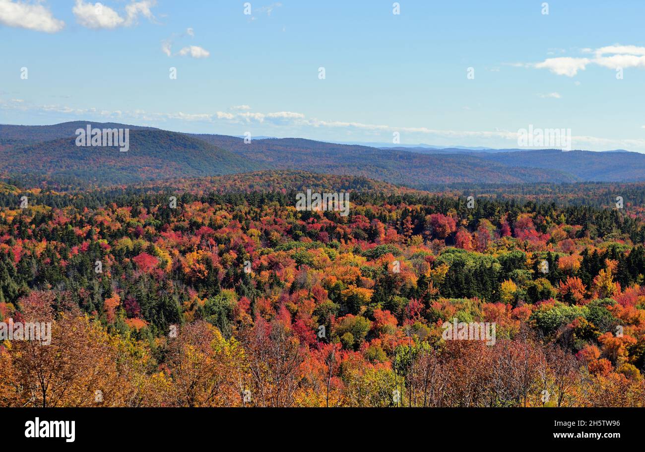 Marlboro, Vermont, USA. Spectacular color is ignited as trees flash ...