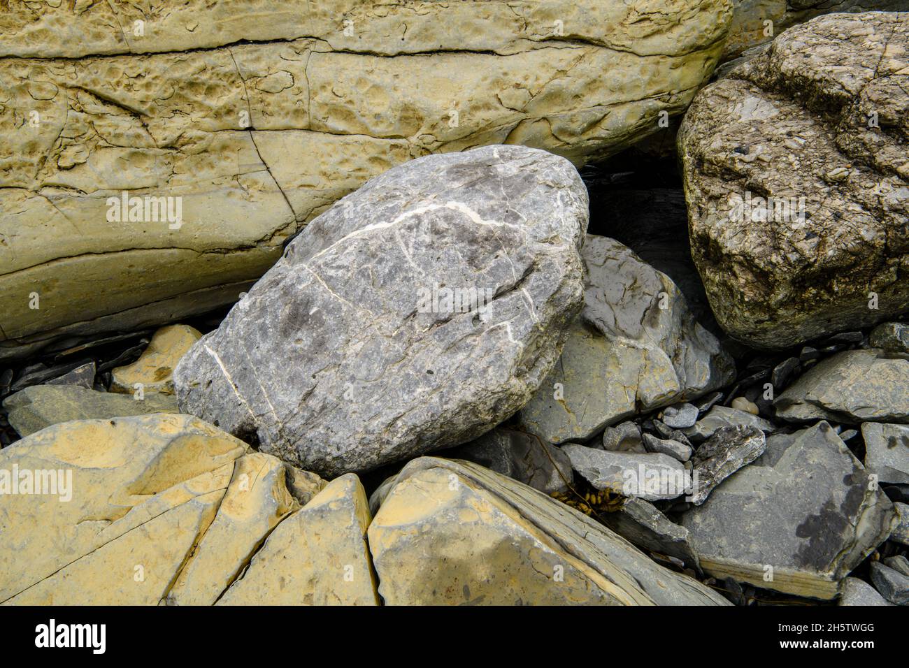 Lobster Cove Head rocks, Gros Morne National Park, Newfoundland and ...