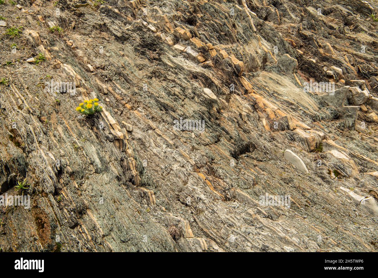 Uplifted sedimentary strata hi-res stock photography and images - Alamy
