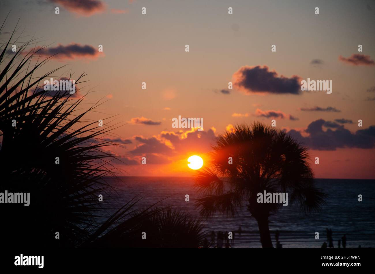 Mesmerizing view of a sea and silhouettes of trees under a clear sky ...