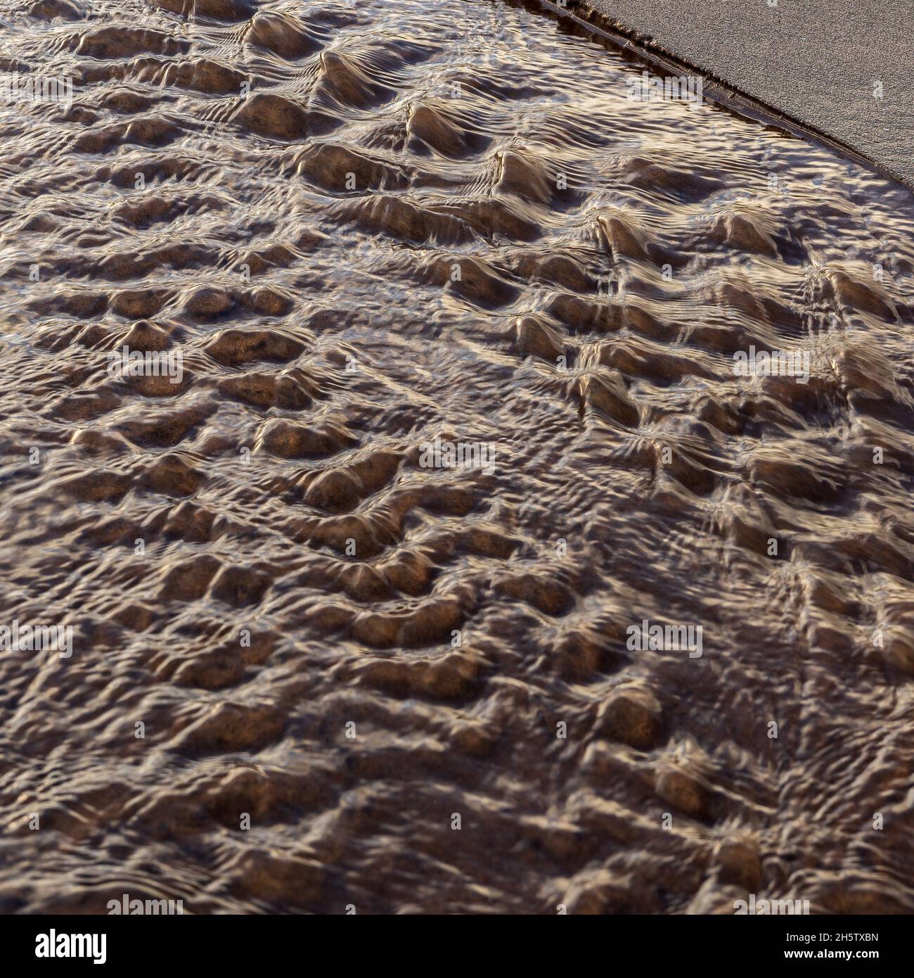 Patterns in the sand and water as it drains down the beach at East ...