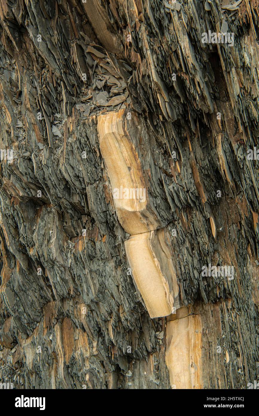 Uplifted strata at Green Point, Gros Morne National Park, Newfoundland ...