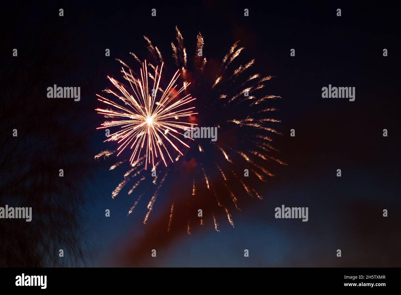 Sparks. Fireworks are class of explosive pyrotechnic devices used for ...