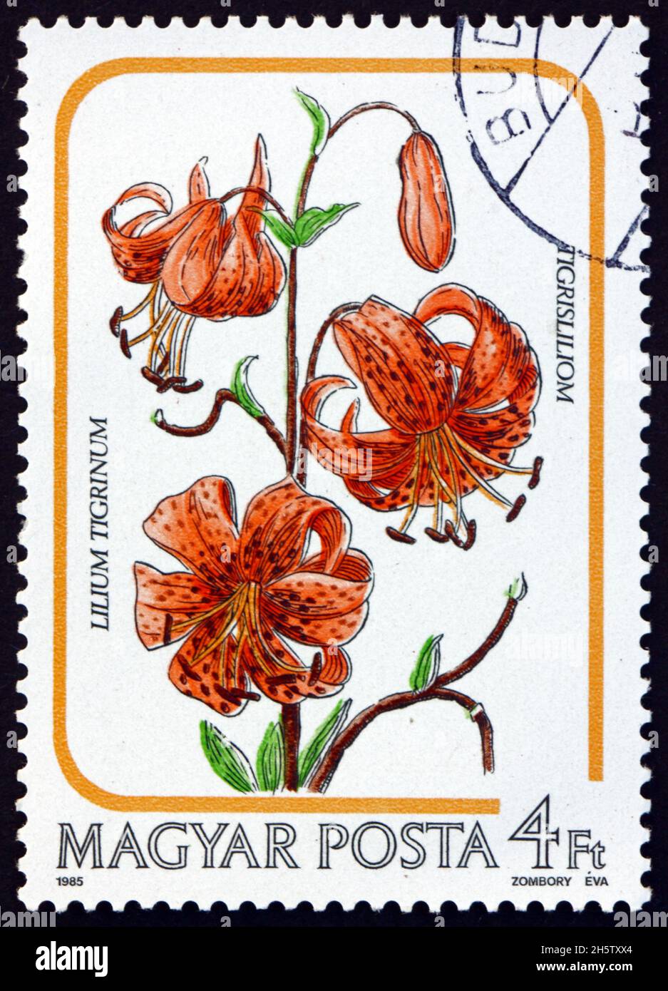 HUNGARY - CIRCA 1985: a stamp printed in Hungary shows tiger lily ...