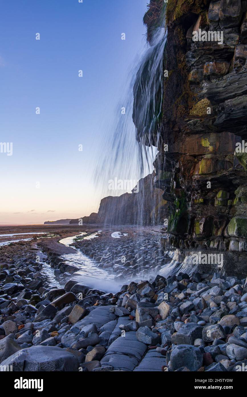 Quantox head hi-res stock photography and images - Alamy