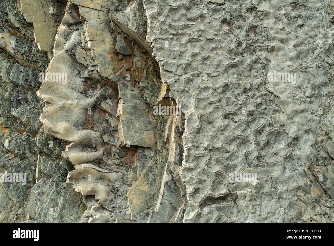 Uplifted strata at Green Point, Gros Morne National Park, Newfoundland ...