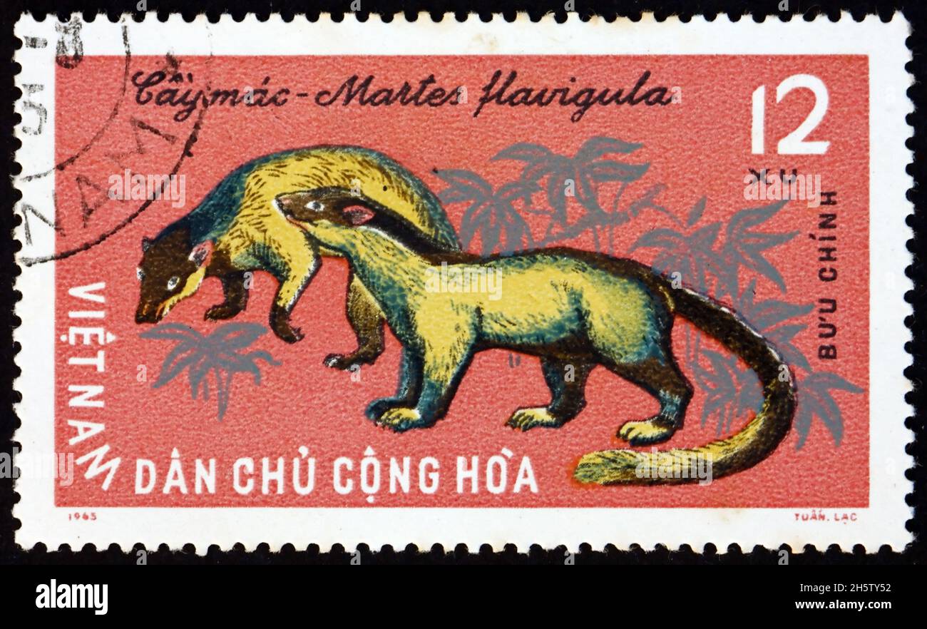 VIETNAM - CIRCA 1965: a stamp printed in Vietnam shows yellow-throated ...