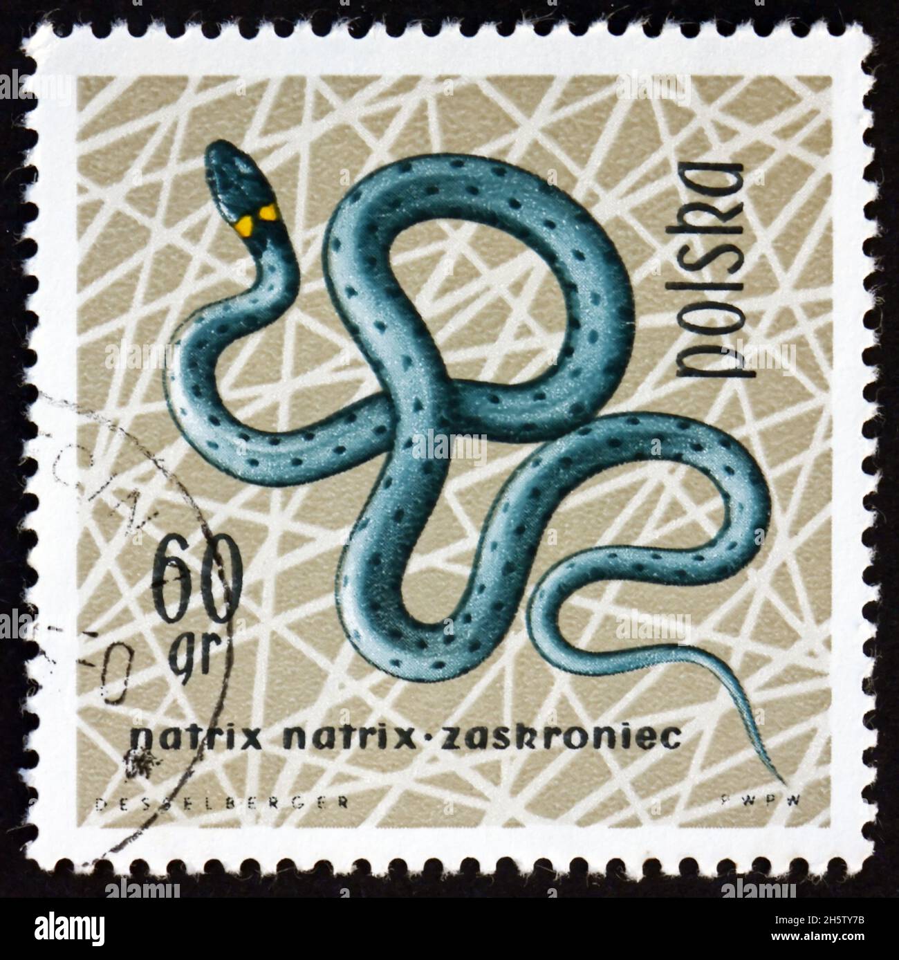 POLAND - CIRCA 1963: a stamp printed in Poland shows European grass ...