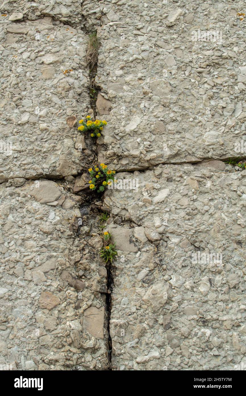 Uplifted strata at Green Point, Gros Morne National Park, Newfoundland ...
