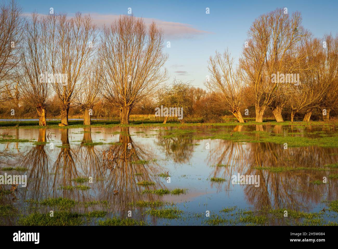 Flood waters on Aller Common Moor from where the River Parrett ...