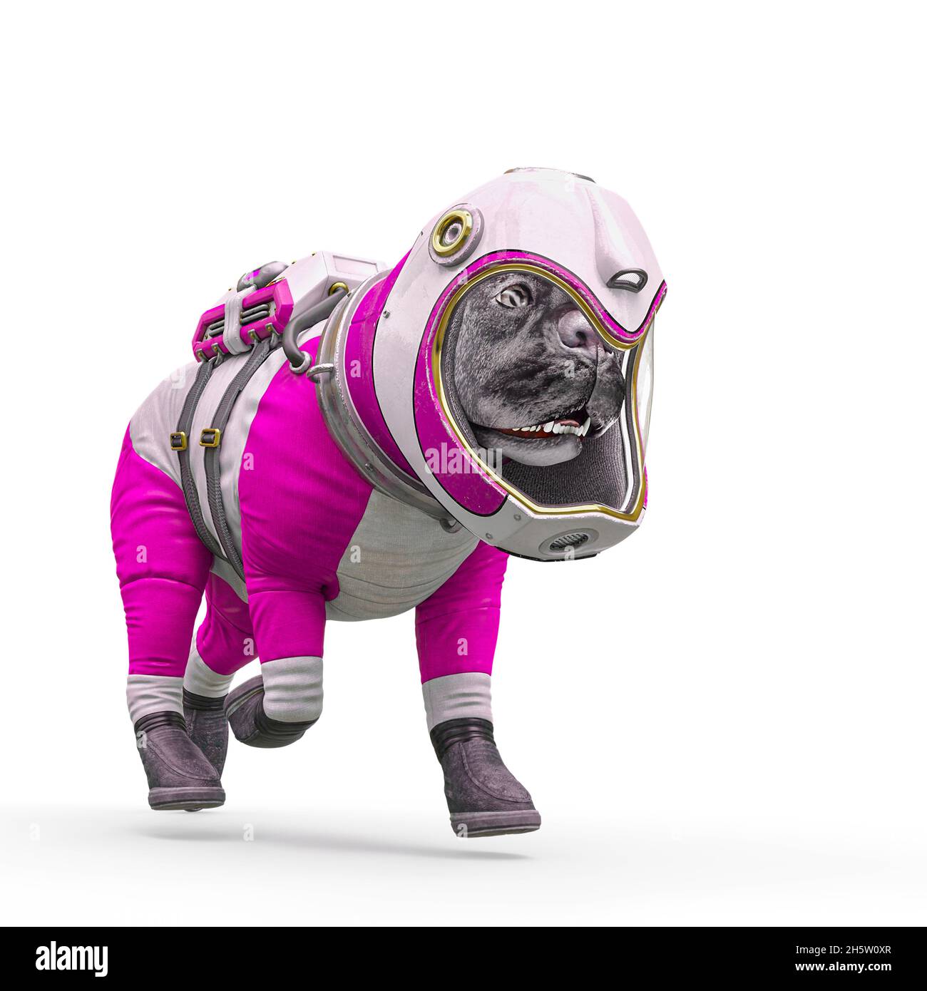 Futuristic Space Suits In Dogs