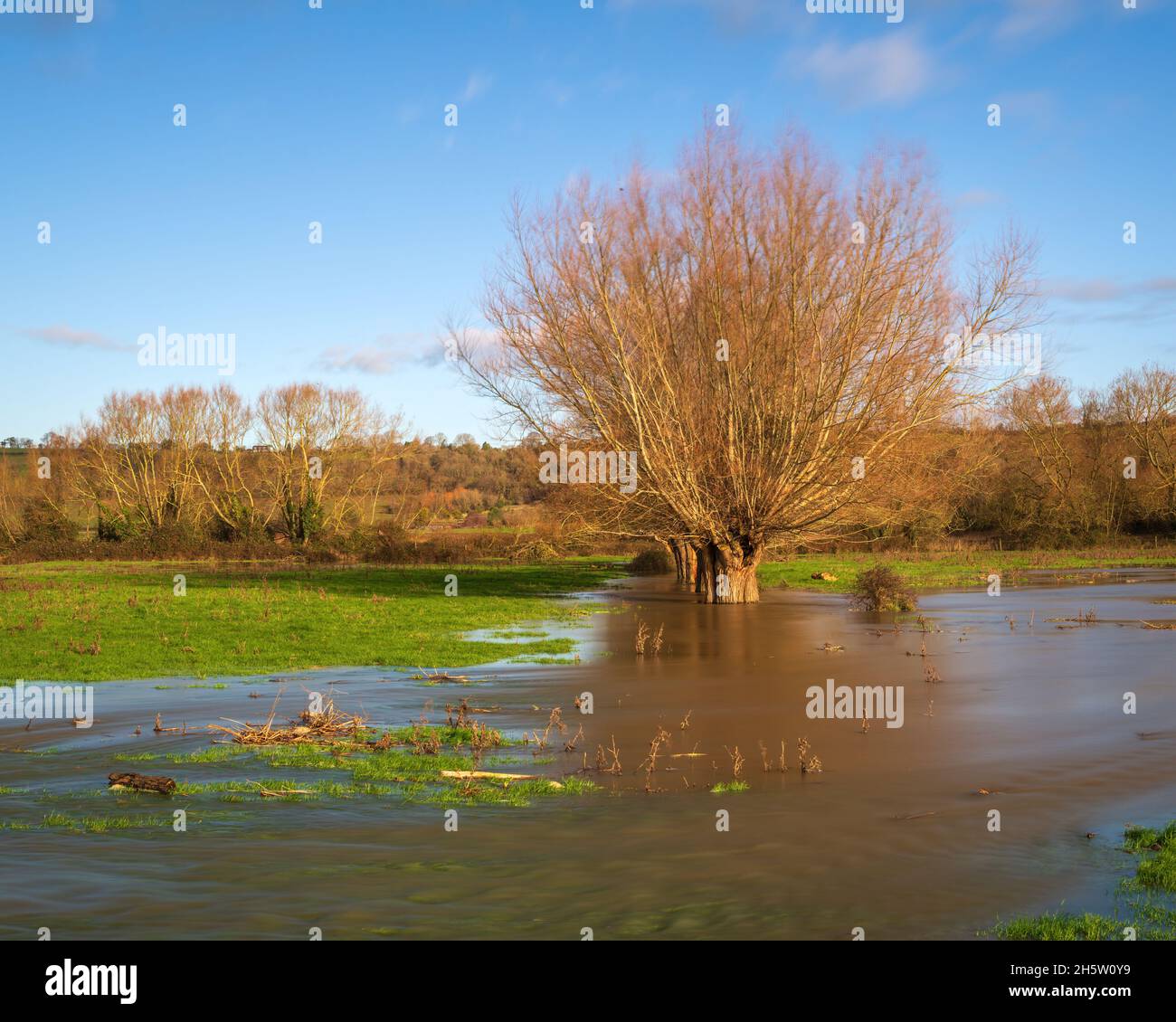 Flood waters on Aller Common Moor from where the River Parrett ...