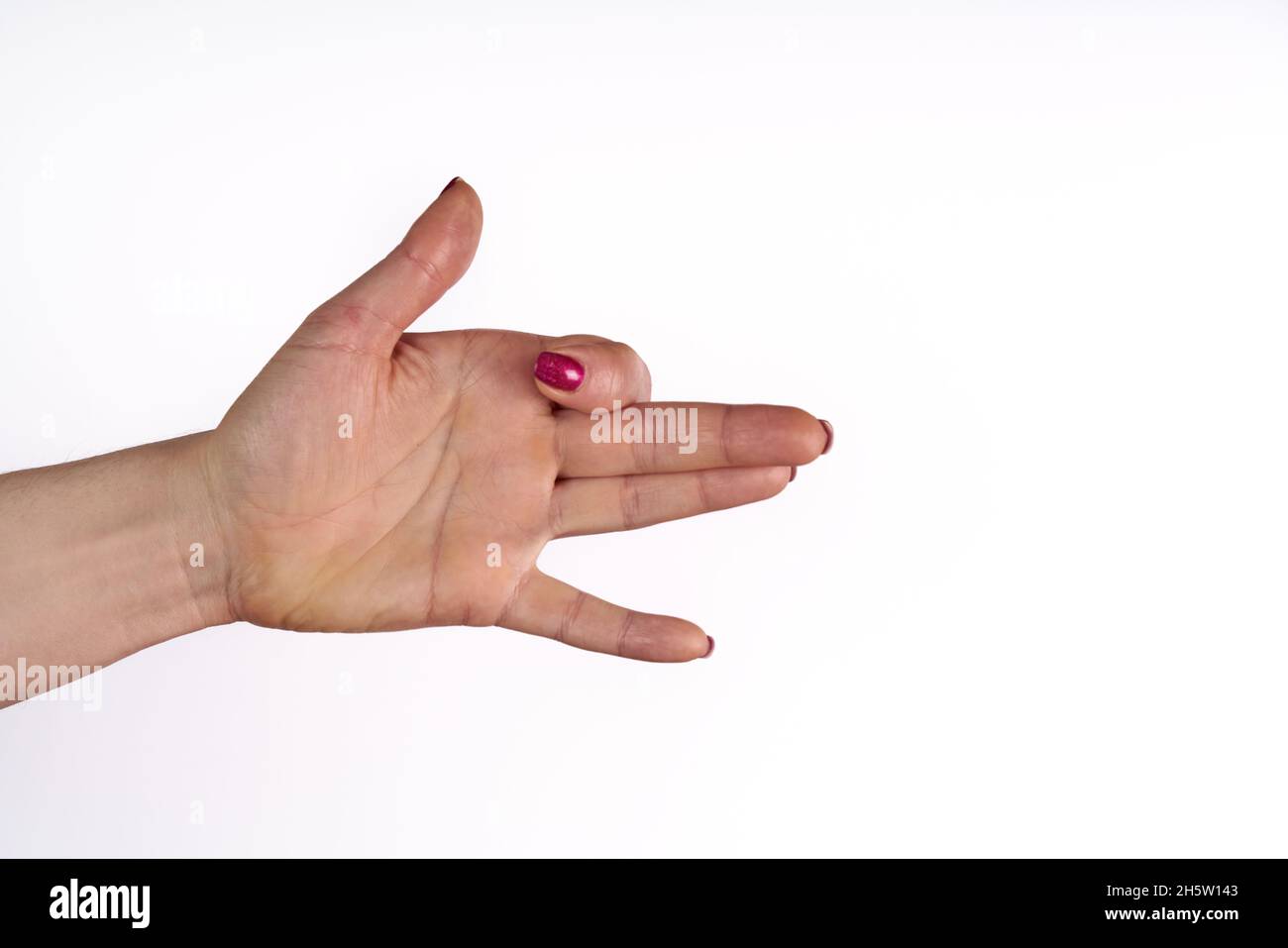 Female hand gestures isolated over the white background.Dog Sign Pose ...