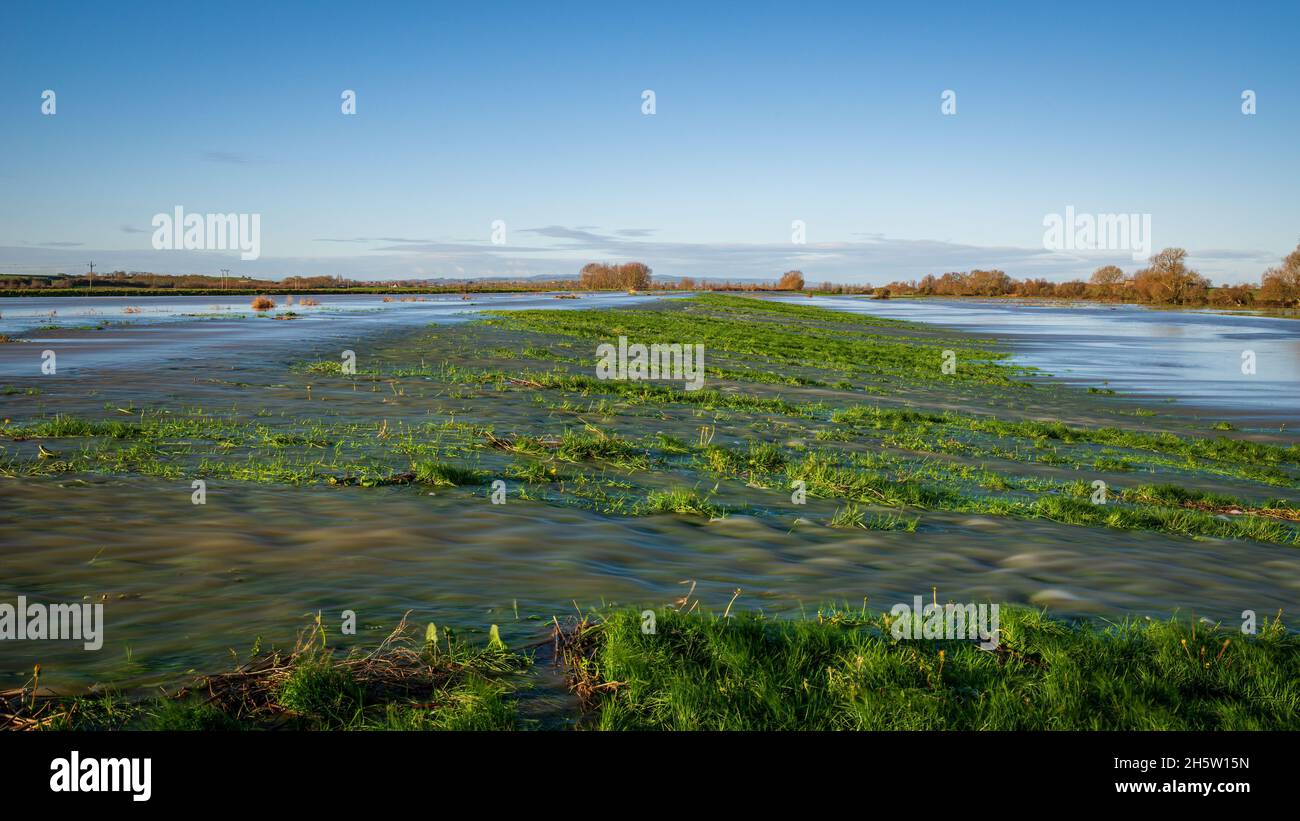 Flood waters on Aller Common Moor from where the River Parrett ...