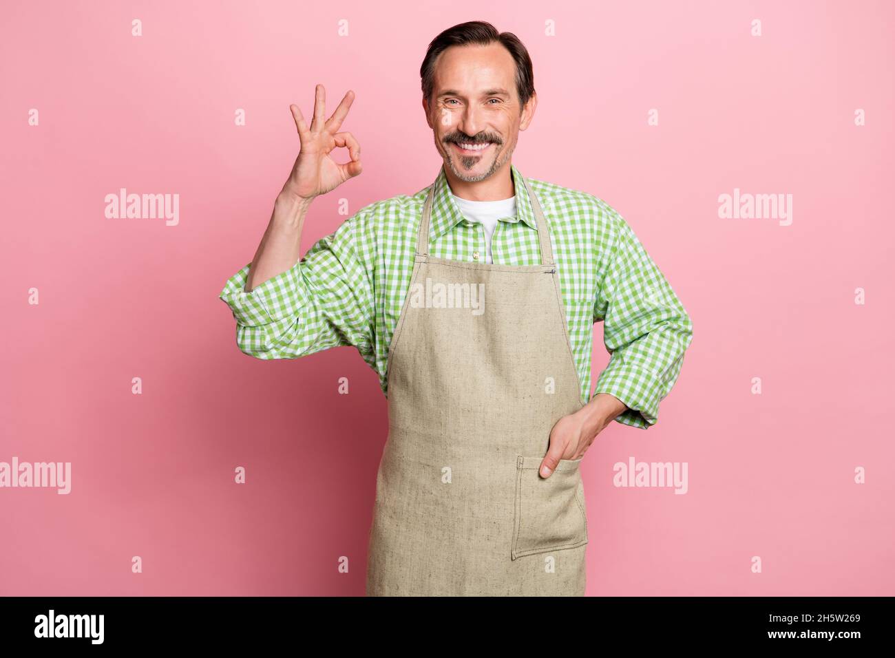 Photo of funny handsome age man wear checkered shirt beige apron ...
