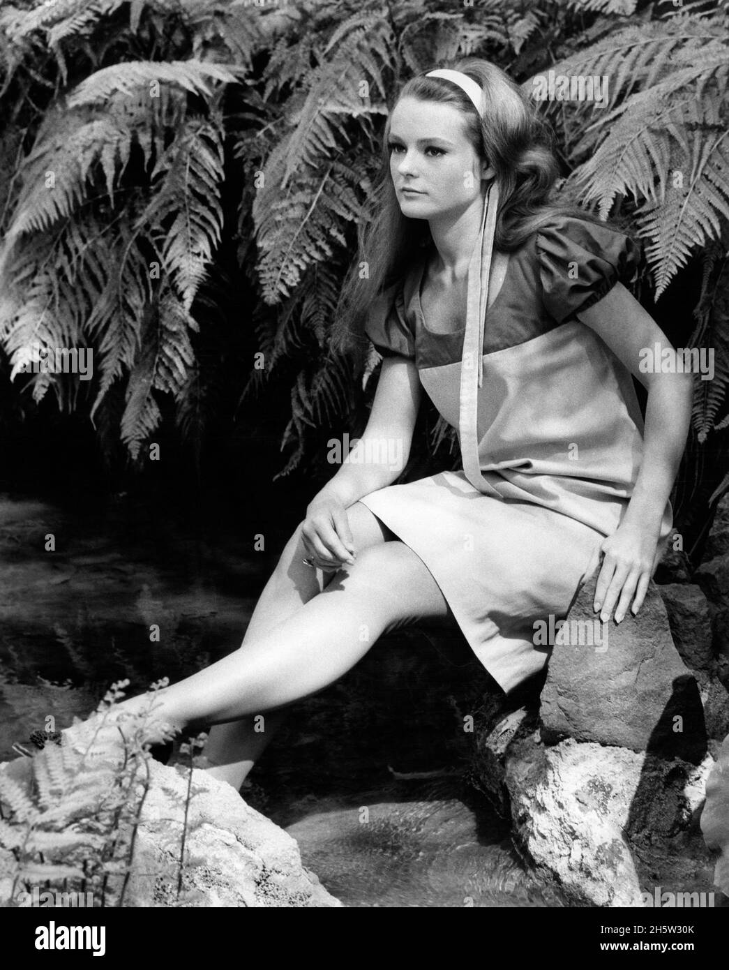 Katharine Houghton Actress 60 Photos - Moonagedaydream.film