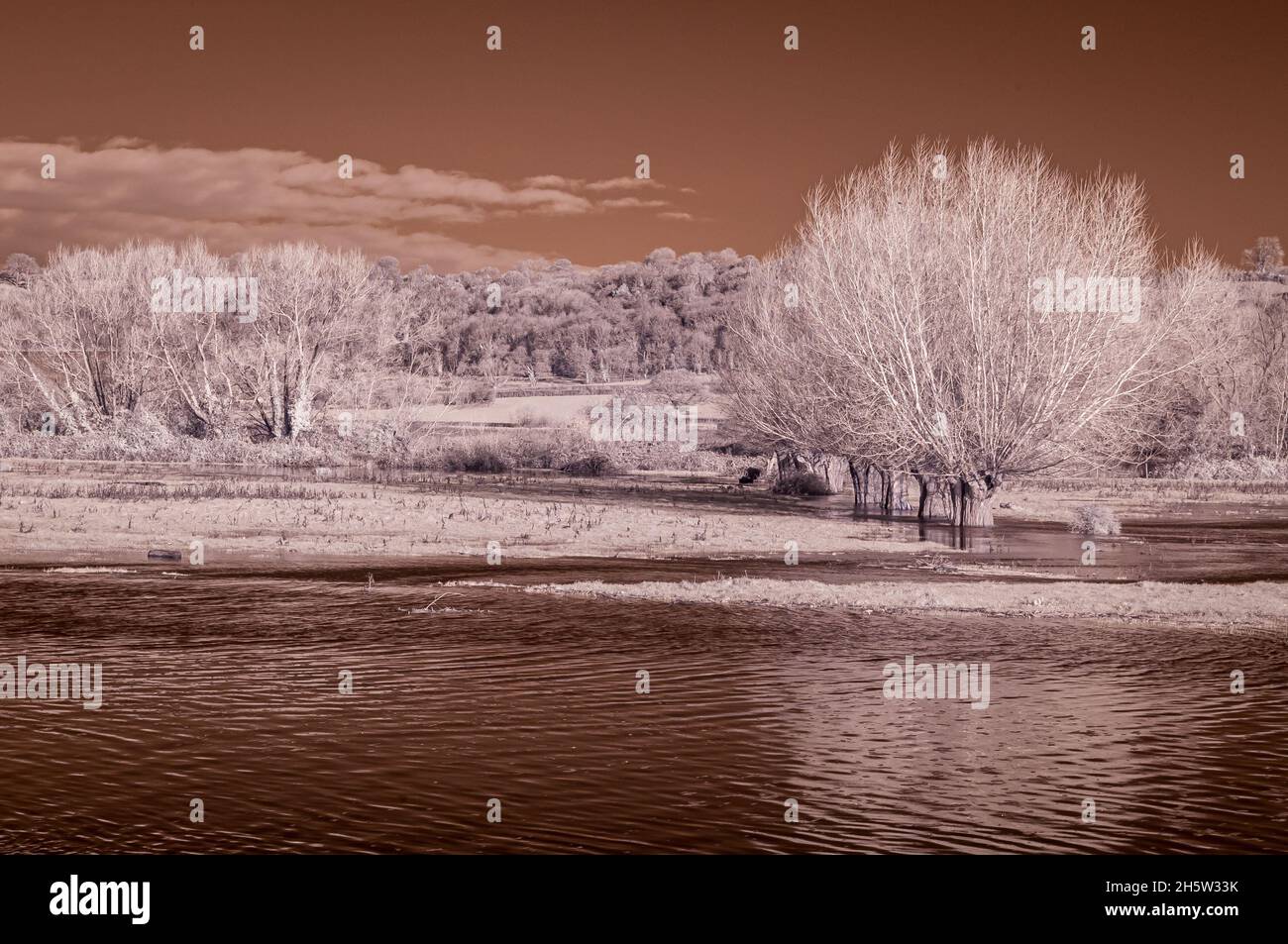 Infrared image of flood waters on Aller Common Moor where River Parrett ...