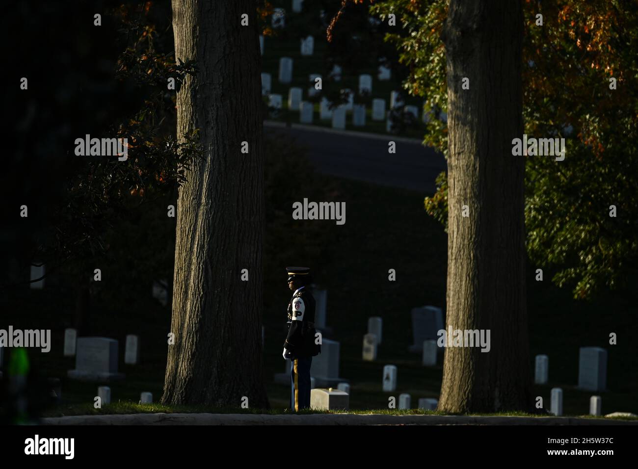 Arlington, USA. 11th Nov, 2021. A United States Army Soldier looks out ...