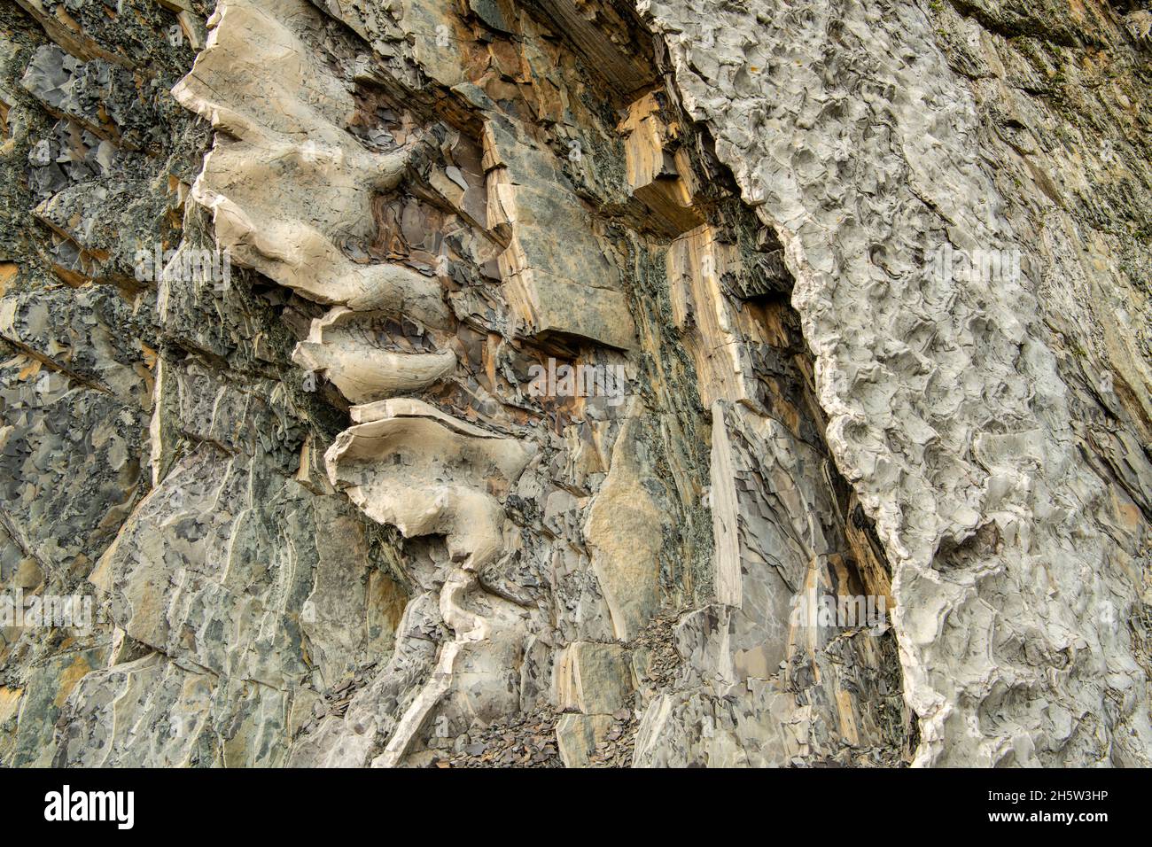 Uplifted strata at Green Point, Gros Morne National Park, Newfoundland ...