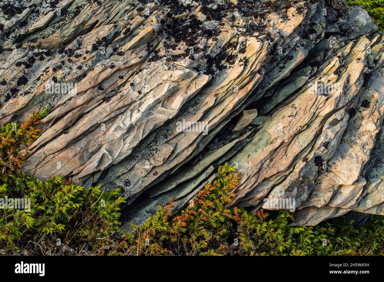 Patterns rock erosion strata hi-res stock photography and images - Alamy
